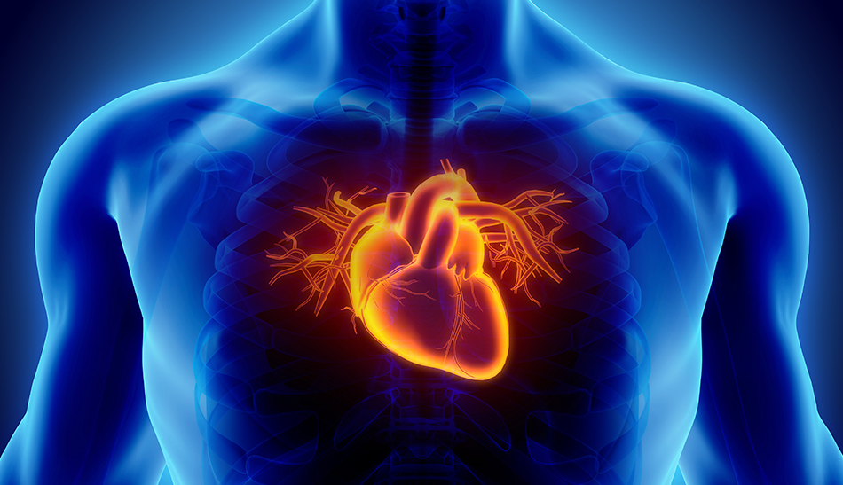 For stable heart disease, does stent placement do more harm than good ...